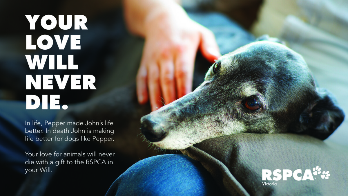 RSPCA Victoria - Legacy Futures